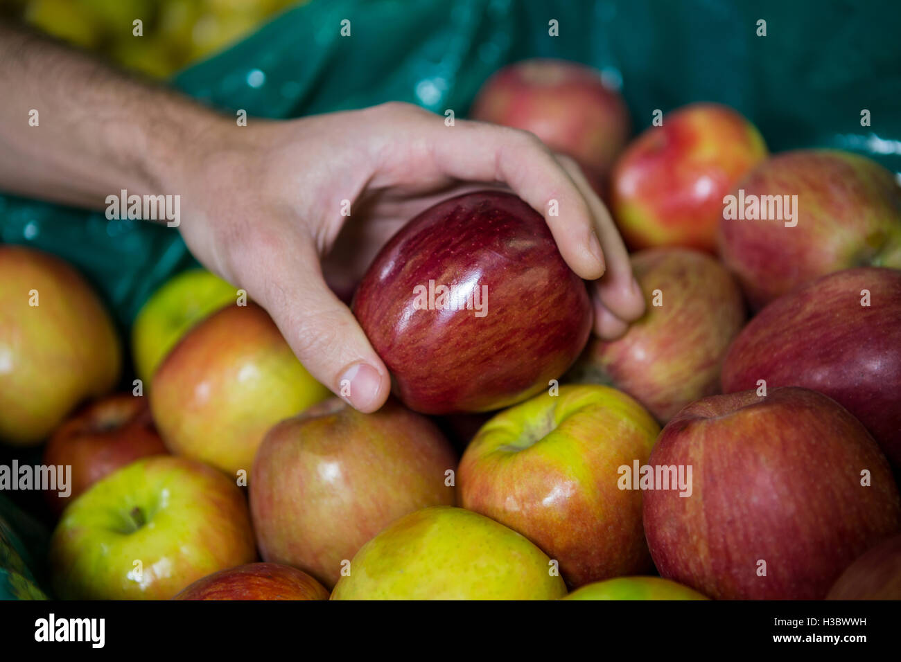 Man holding apple in supermarket Stock Photo - Alamy