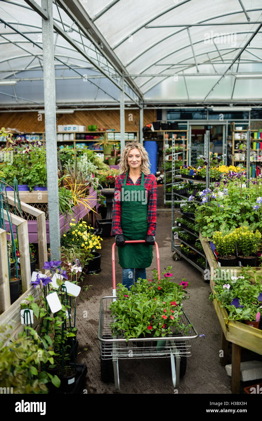 Flower trolley hi-res stock photography and images - Alamy
