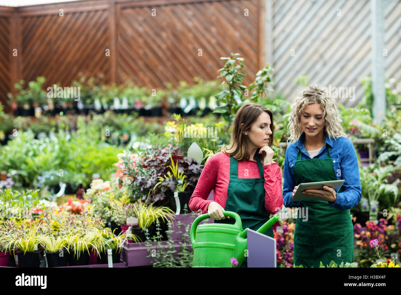 Two female florist using digital tablet Stock Photo - Alamy