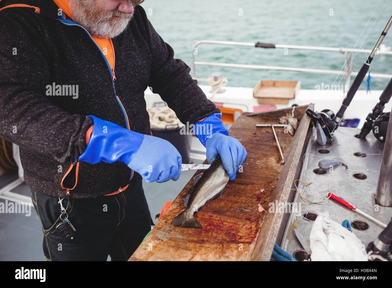 Fisherman filleting fish Stock Photo - Alamy