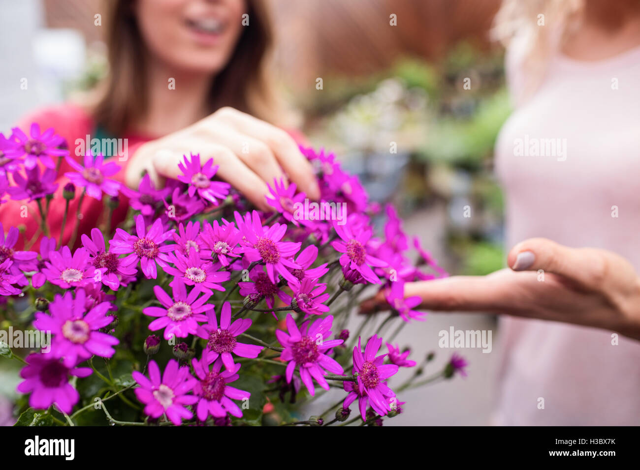 Consumer flower hi-res stock photography and images - Alamy