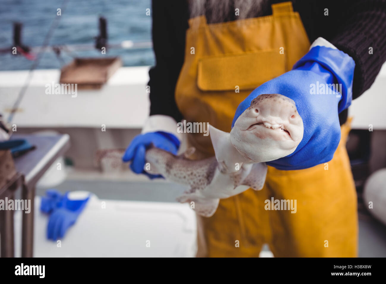 Fisherman holding fish Stock Photo - Alamy