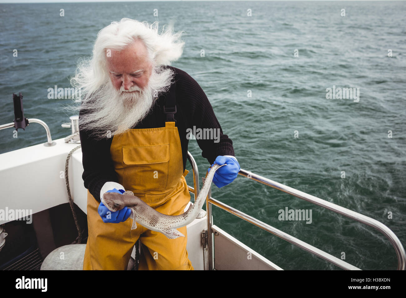Fisherman holding fish Stock Photo - Alamy