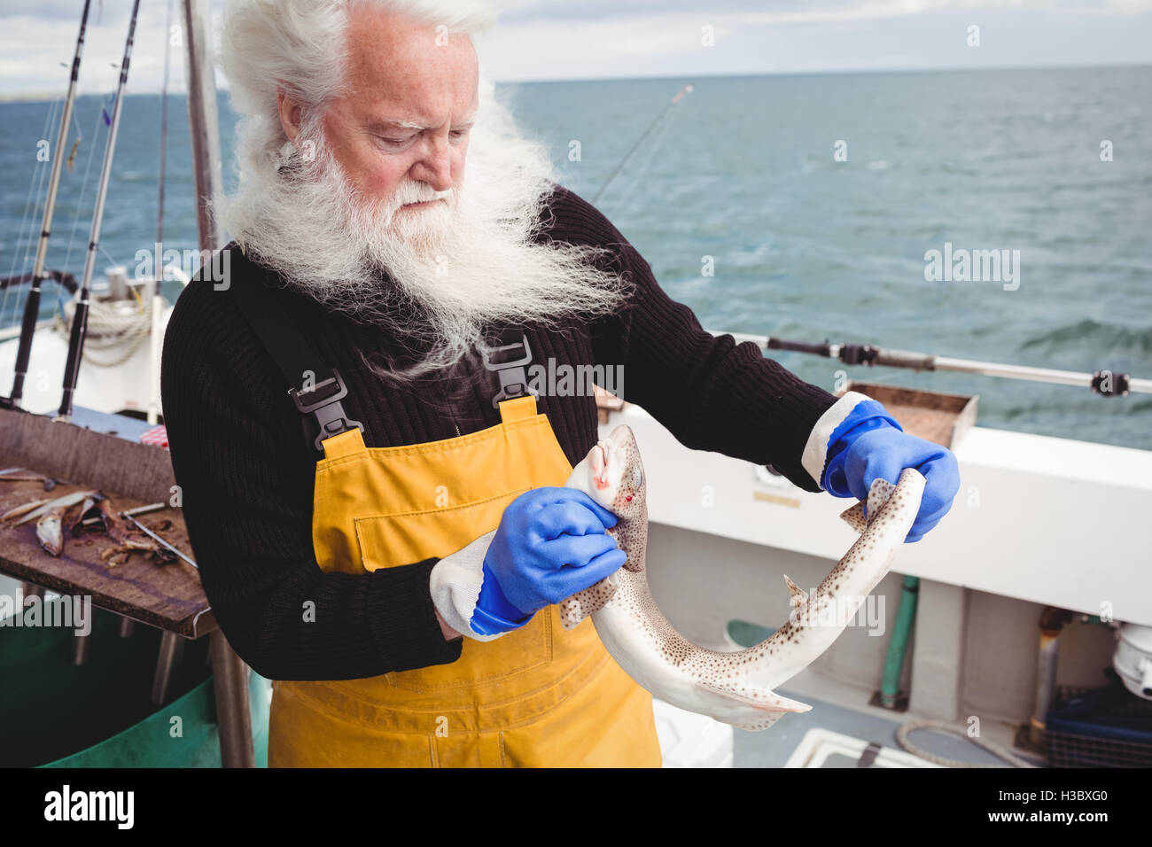 Fisherman holding fish Stock Photo - Alamy