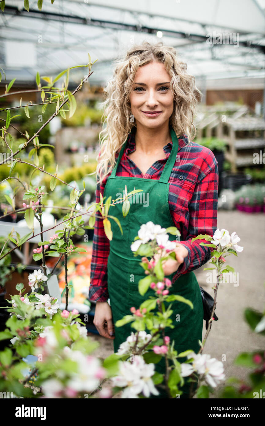 Female florist standing in garden centre Stock Photo - Alamy