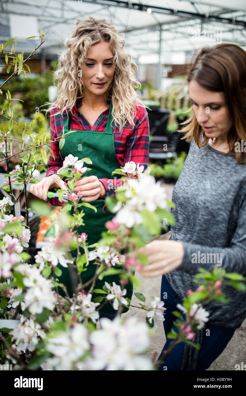 Consumer flowers hi-res stock photography and images - Alamy