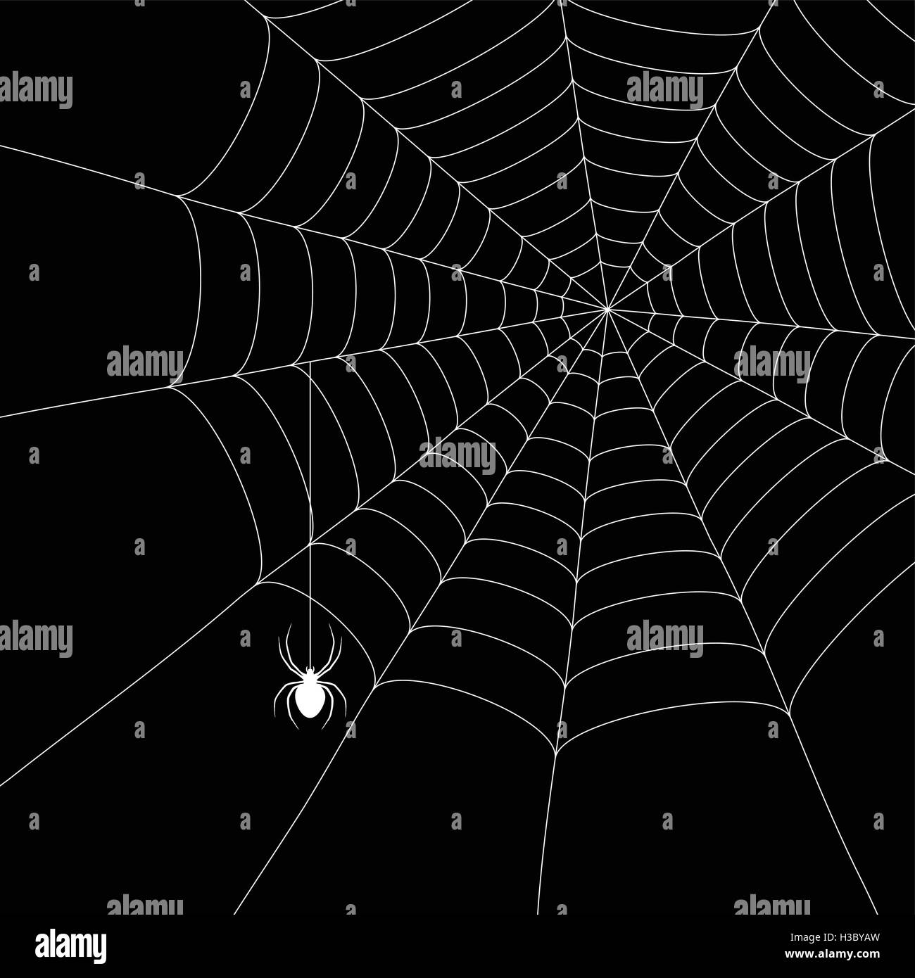 white spider and spider web Stock Vector Image & Art - Alamy