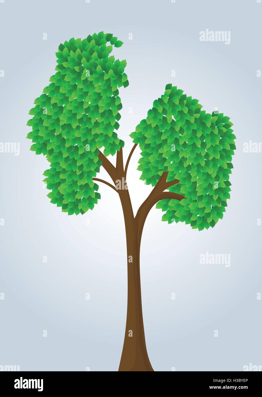 vector summer tree Stock Vector Image & Art - Alamy