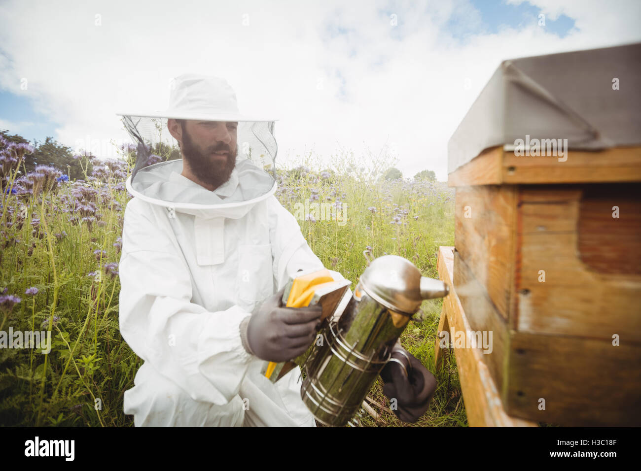 Beekeeper using bee smoker Stock Photo - Alamy