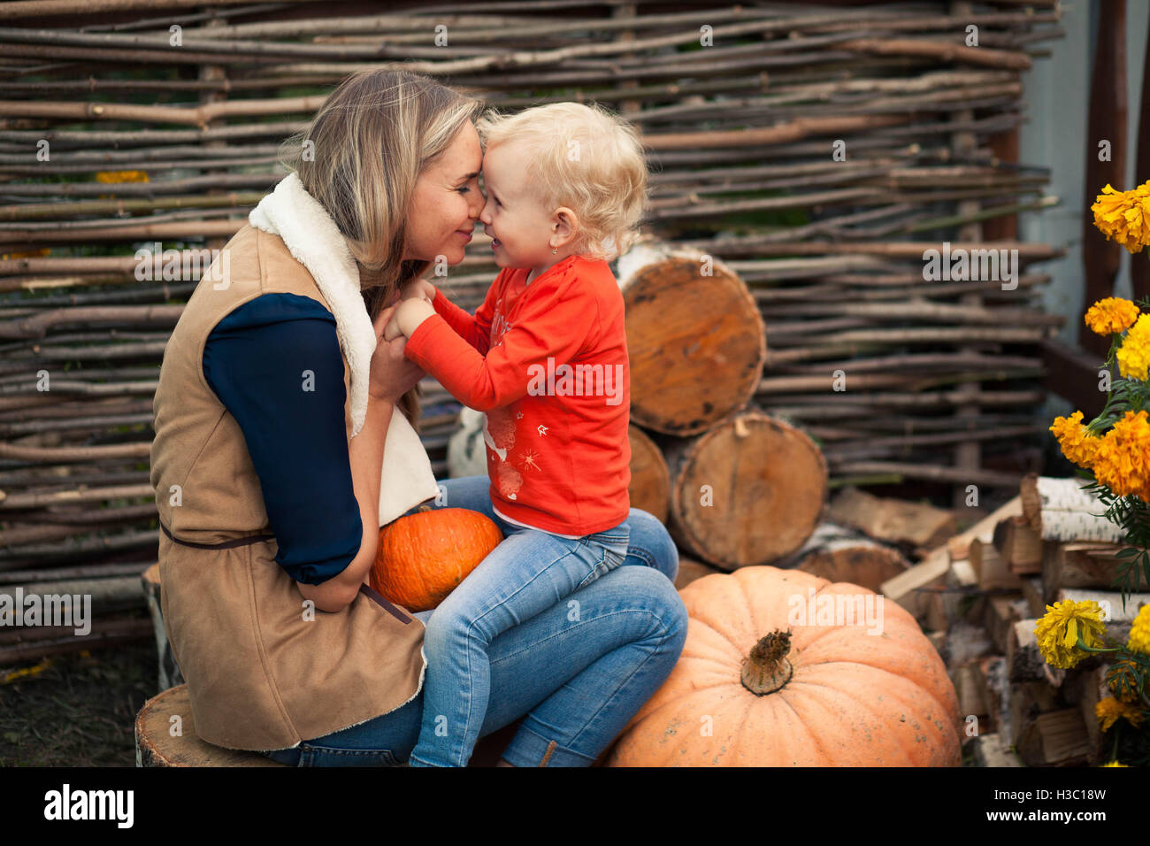 mother and daughter on a background of pumpkins. stump Stock Photo - Alamy