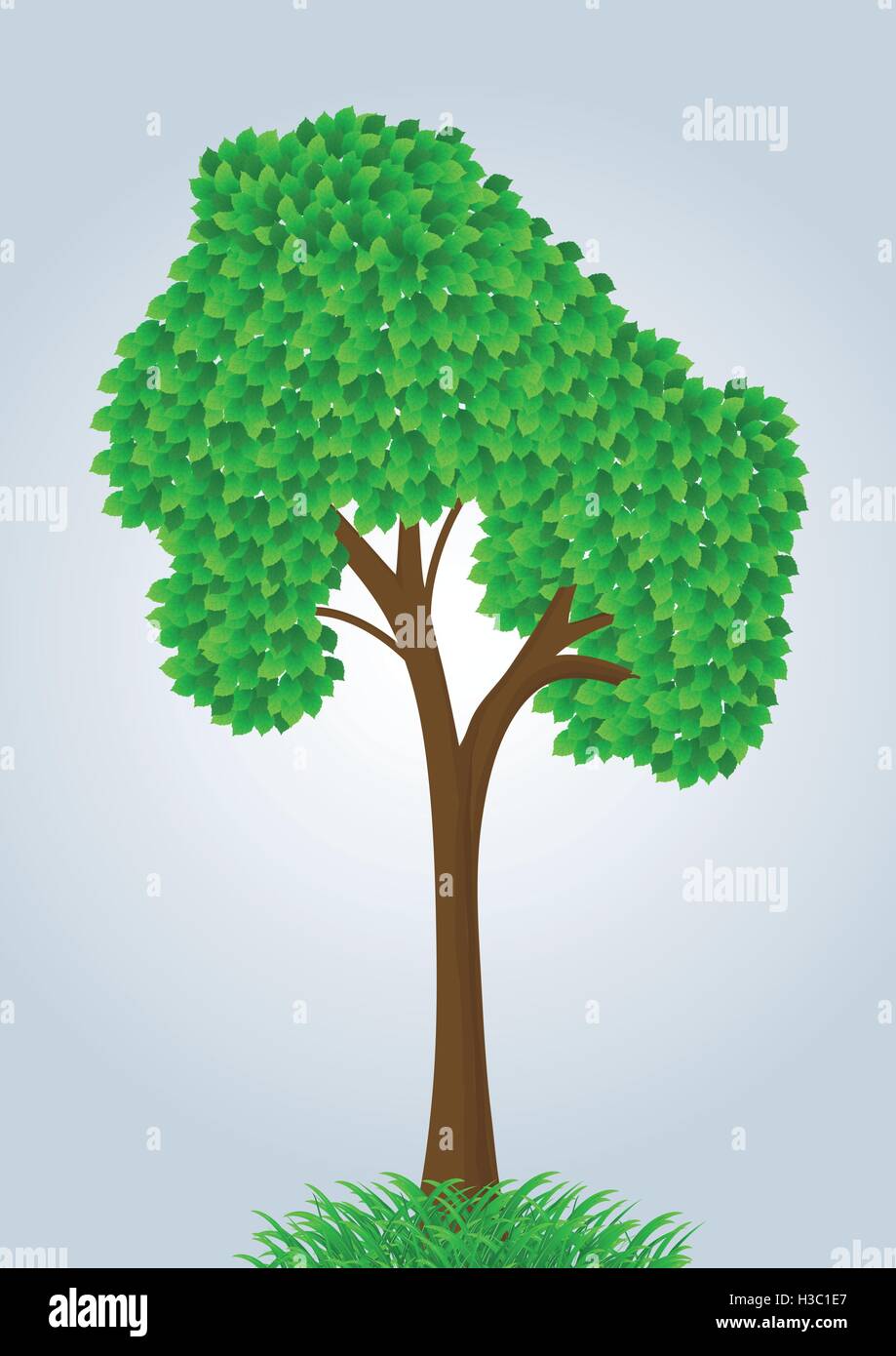 vector summer tree Stock Vector Image & Art - Alamy