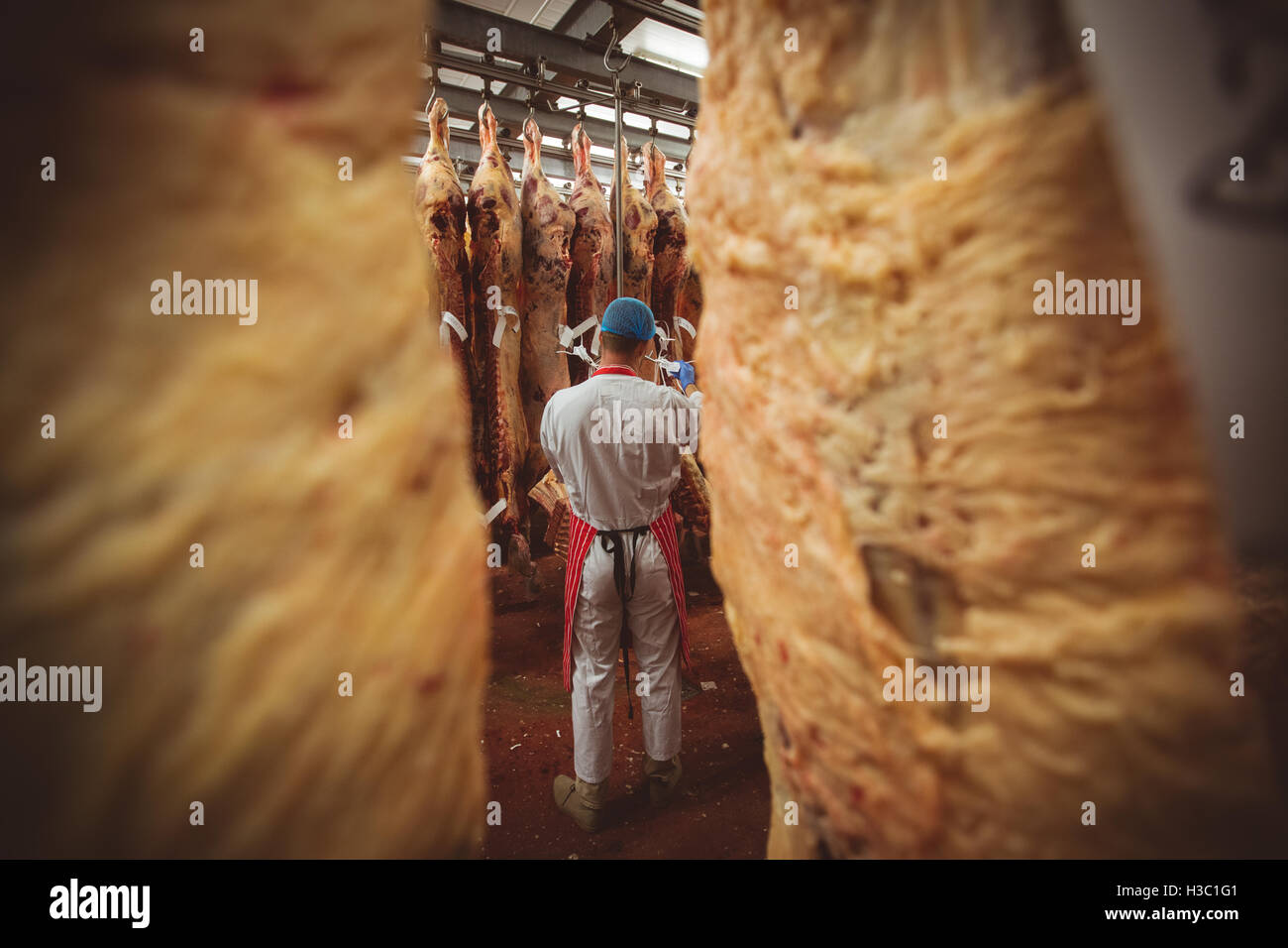 Rear storage hi-res stock photography and images - Alamy