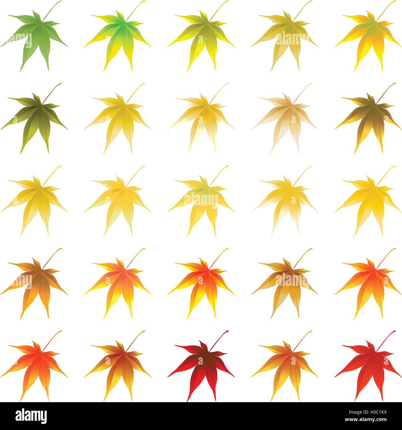 Vector autumn leaves Stock Vector Image & Art - Alamy