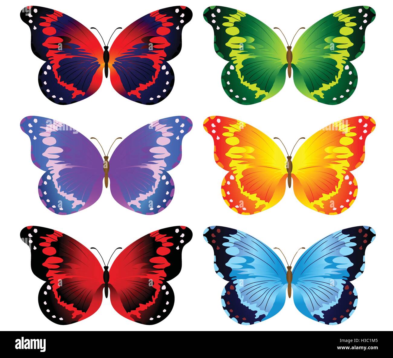 Multiple butterflies Cut Out Stock Images & Pictures - Alamy