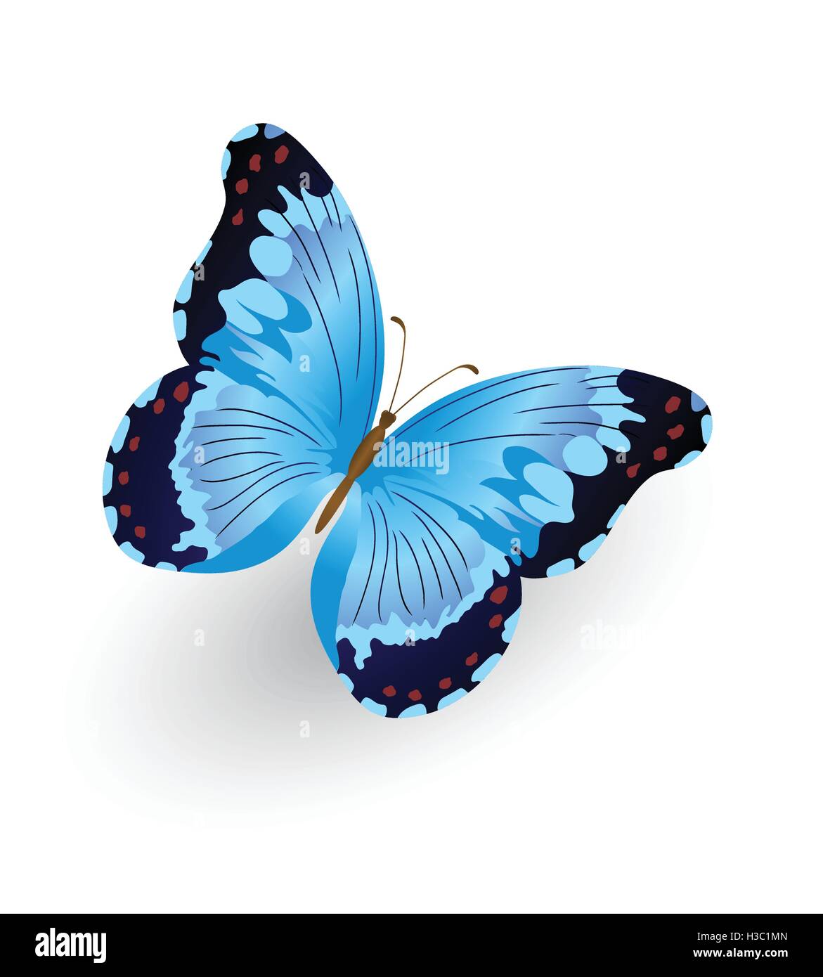 Bright blue butterfly isolated Stock Vector Image & Art - Alamy