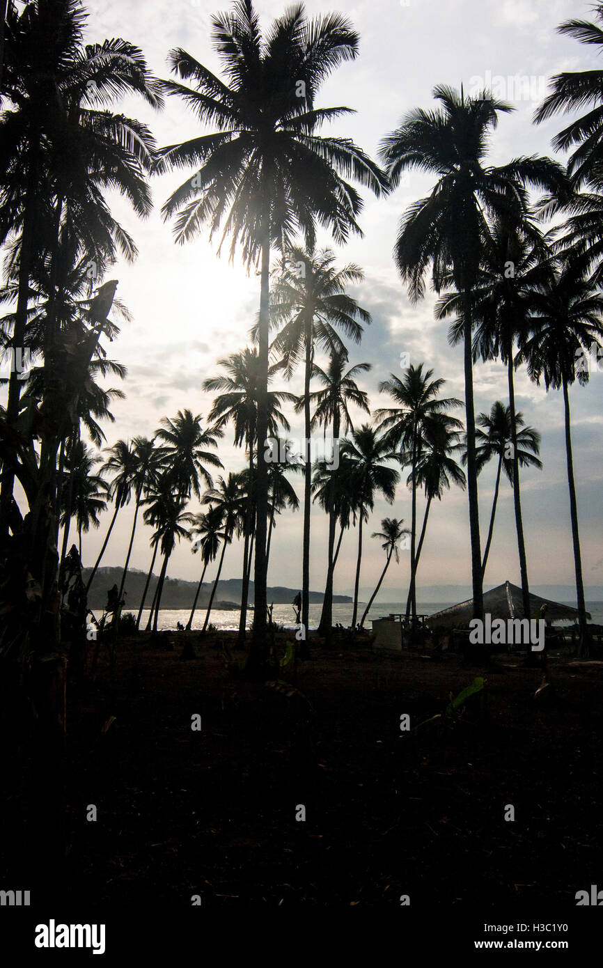 Silhoute hi-res stock photography and images - Alamy