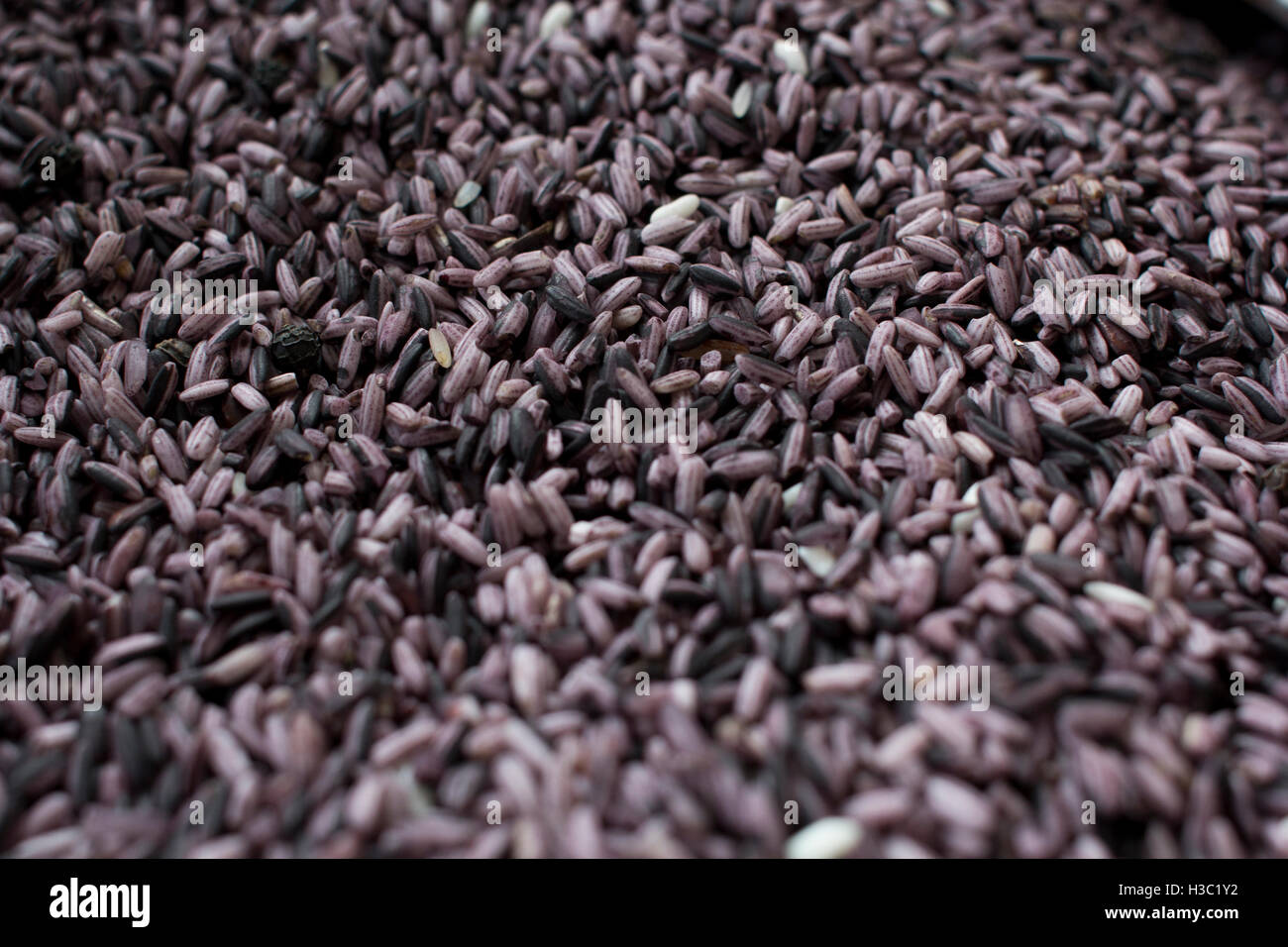 Black glutinous rice is a sticky rice that can find in asia, especially ...