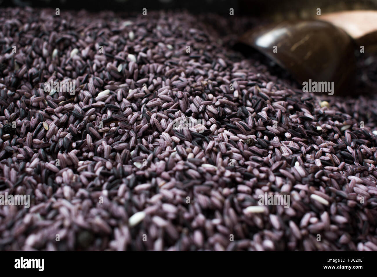 Black glutinous rice is a sticky rice that can find in asia, especially ...