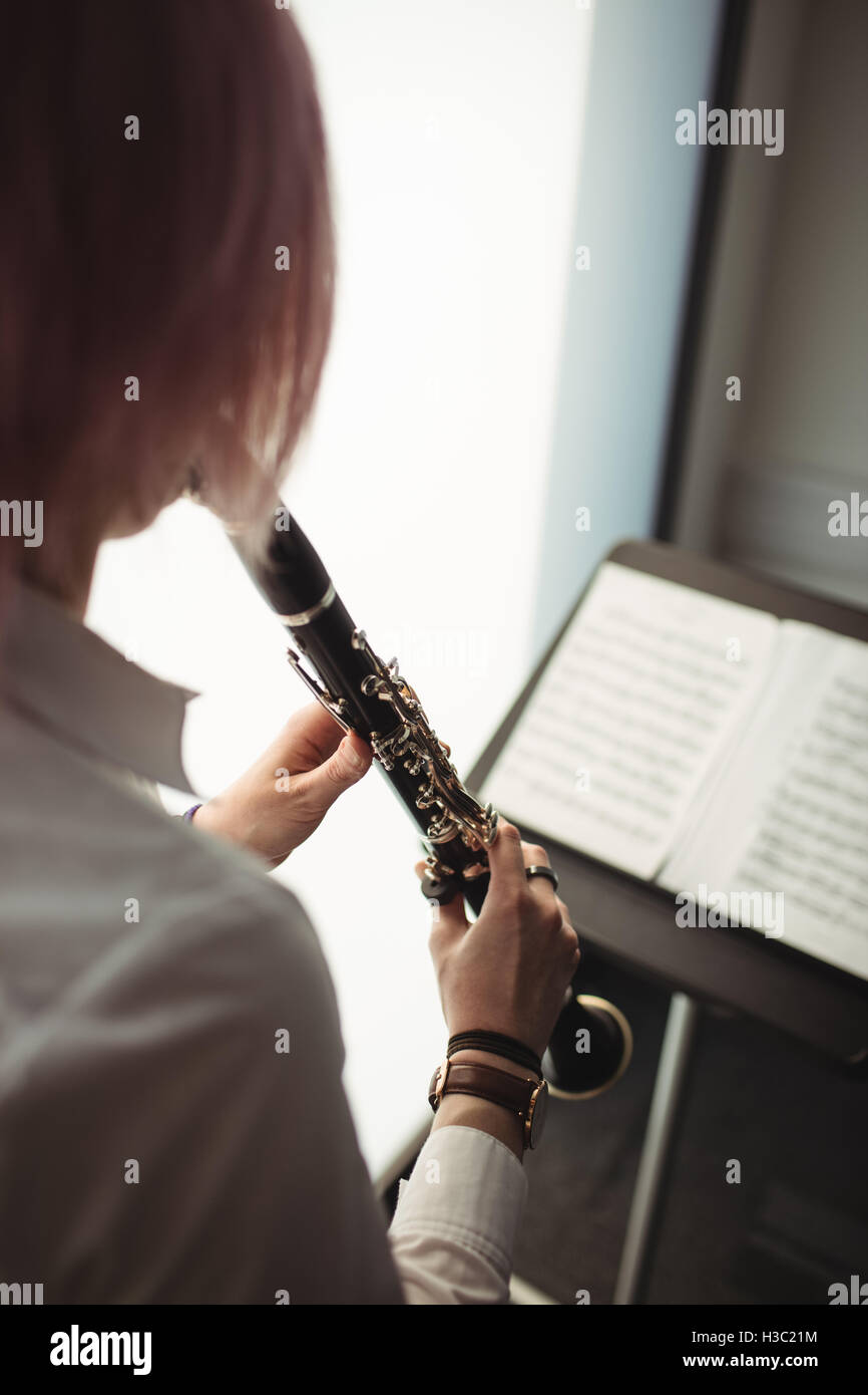 Adult Woman Female Musician Playing Clarinet High Resolution Stock ...