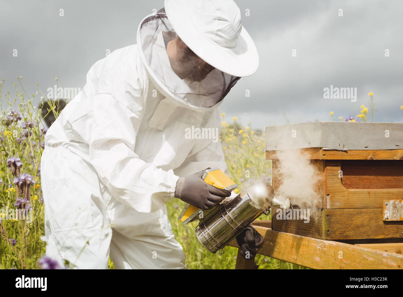 Beekeeper using bee smoker Stock Photo - Alamy
