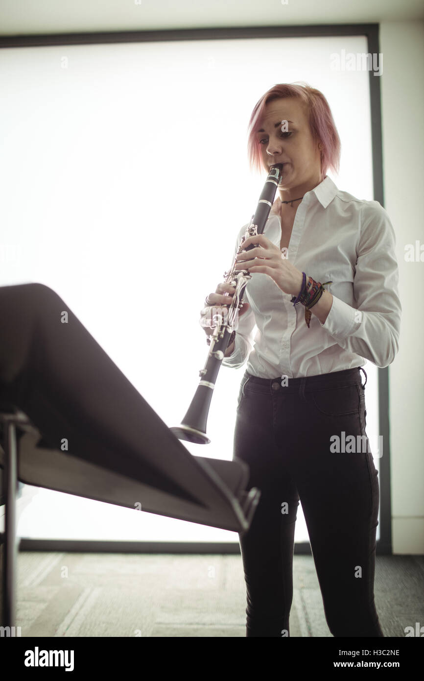 Adult Woman Female Musician Playing Clarinet High Resolution Stock ...