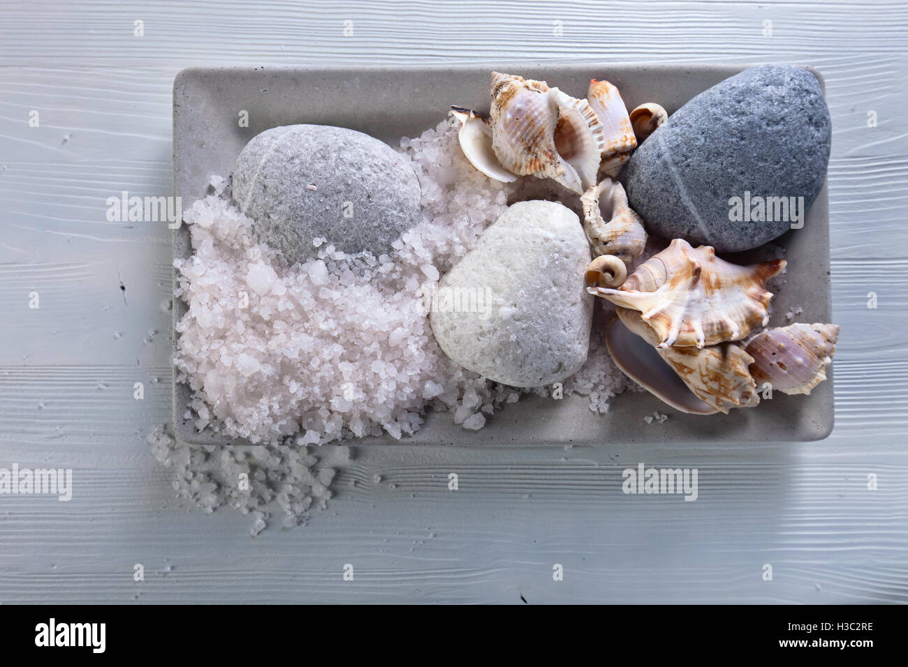 Shell grey hi-res stock photography and images - Alamy