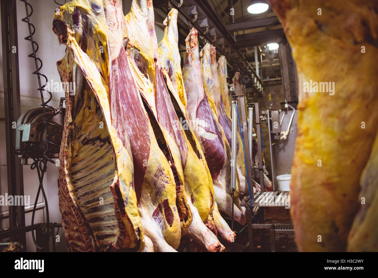 No animal fats hi-res stock photography and images - Alamy