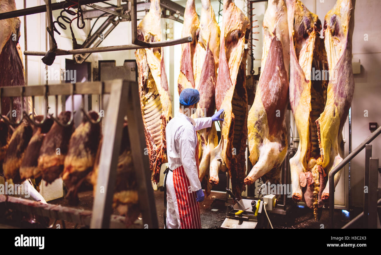 Inspecting room hi-res stock photography and images - Alamy