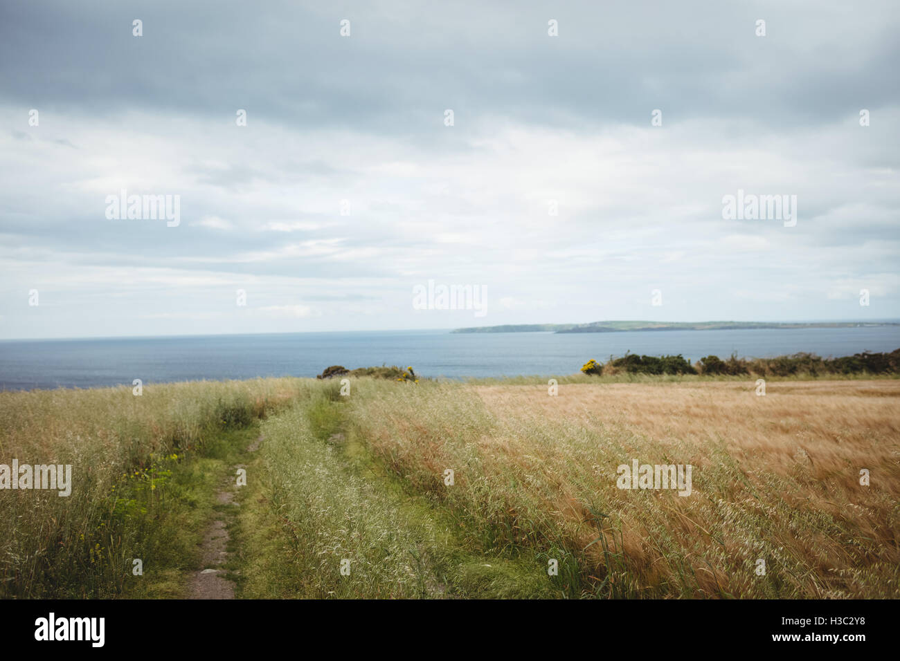 View of sea from the field Stock Photo - Alamy