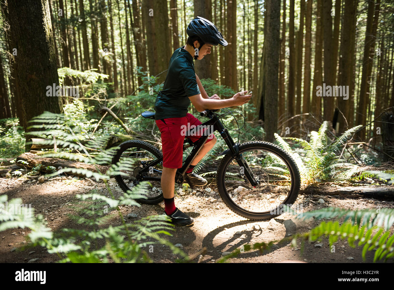 Male cyclist using mobile phone in forest Stock Photo - Alamy