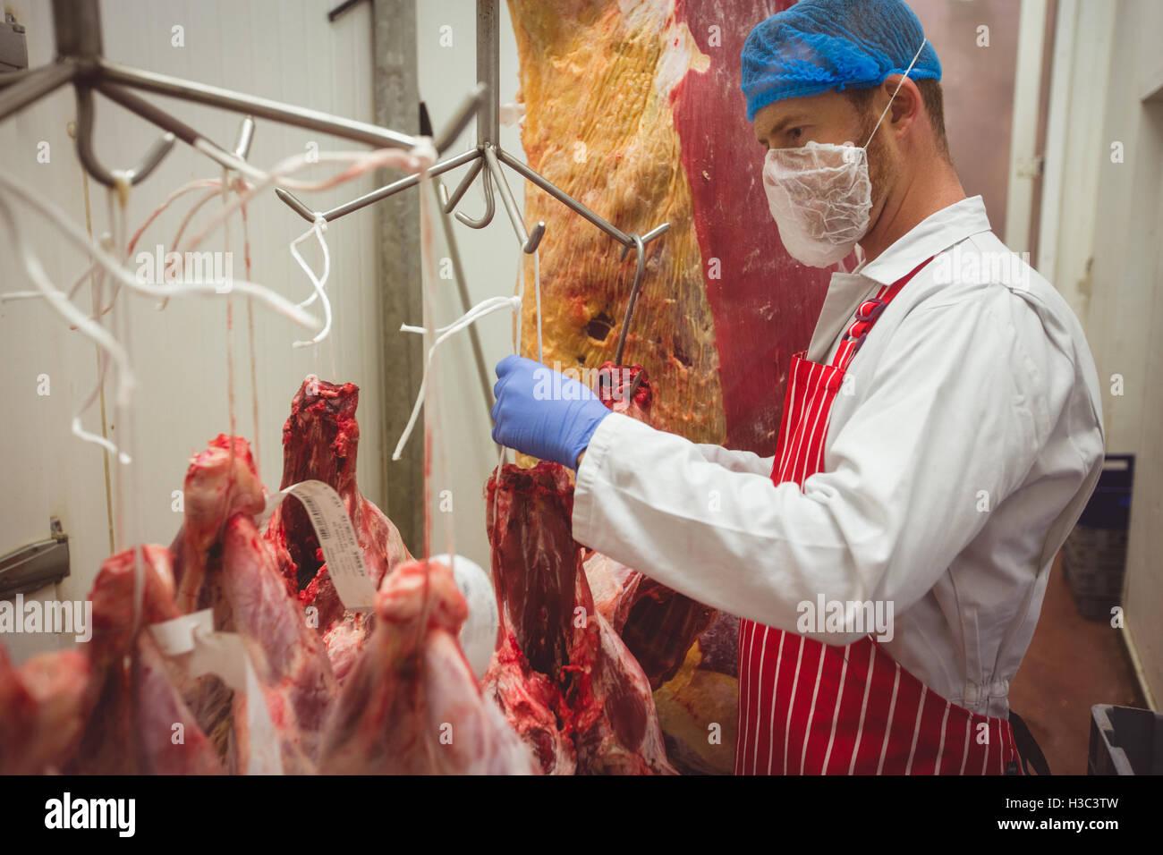Butcher hanging red meat in storage room Stock Photo - Alamy