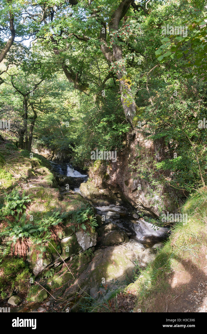 Stream feeding Aira Force waterfall, Cumbria, England, UK Stock Photo ...