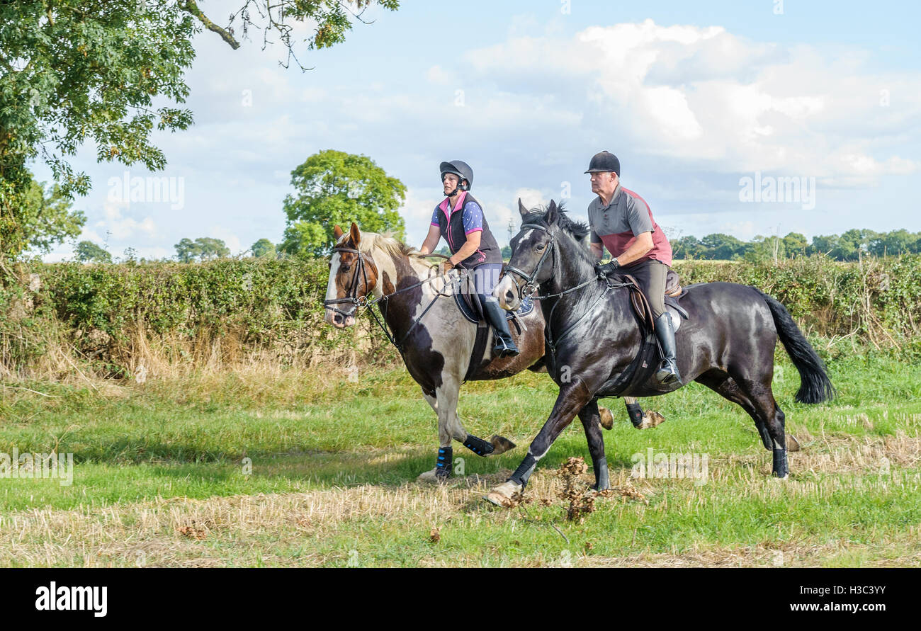 Horse and rider galloping in field hi-res stock photography and images ...