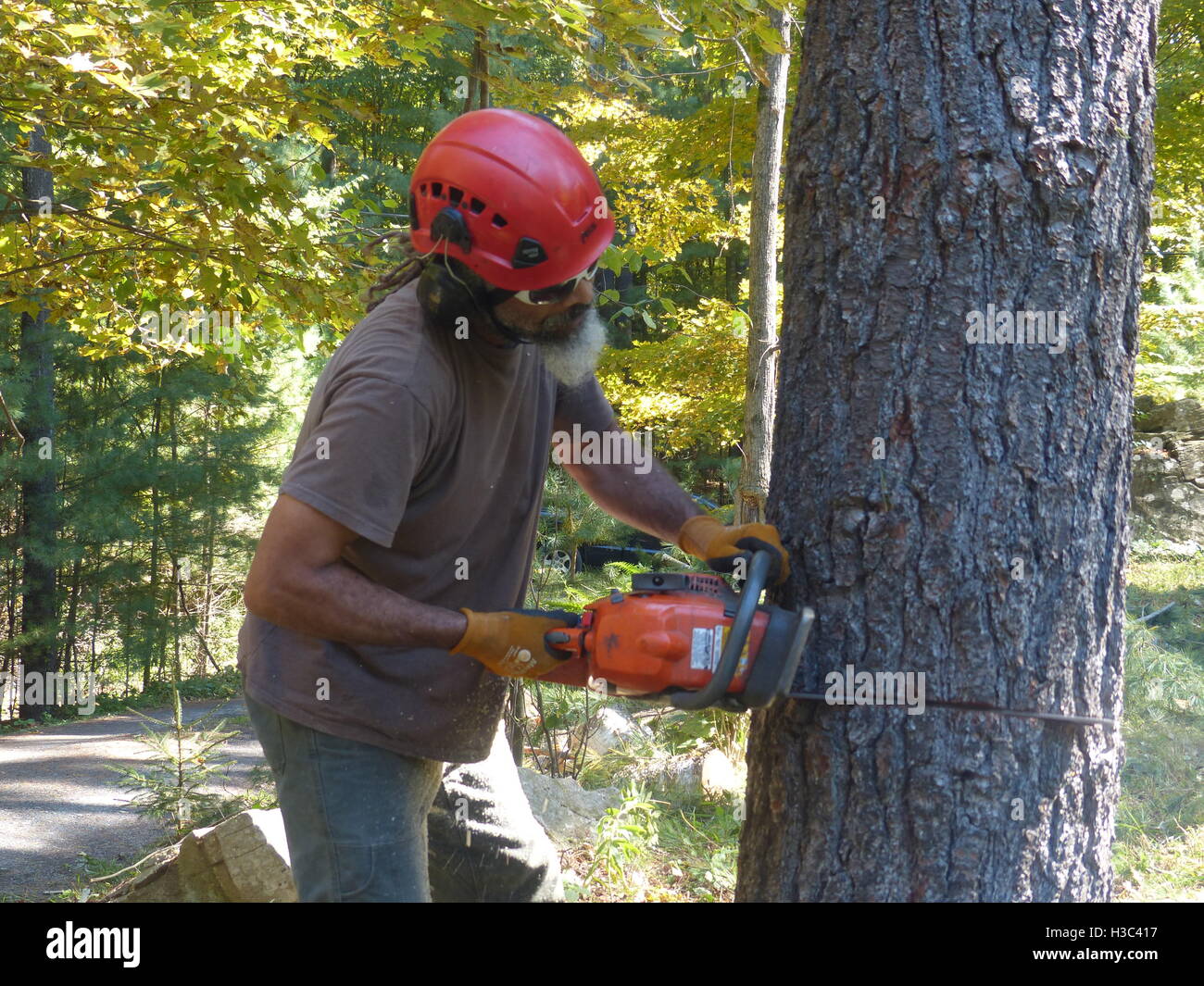 Cutting comp hi-res stock photography and images - Alamy