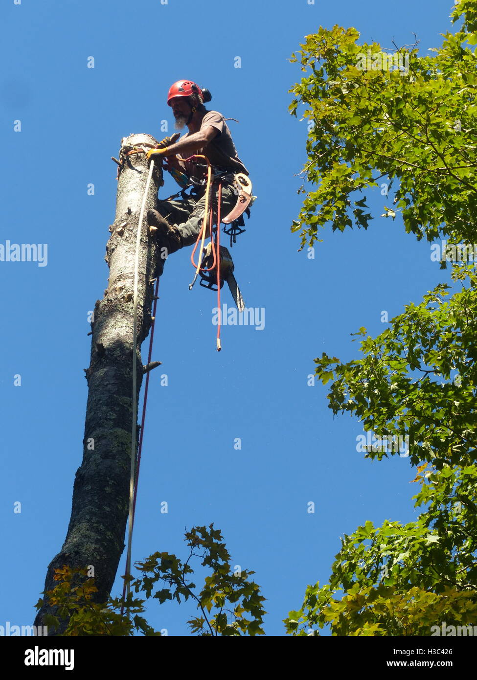 Death care service hi-res stock photography and images - Alamy