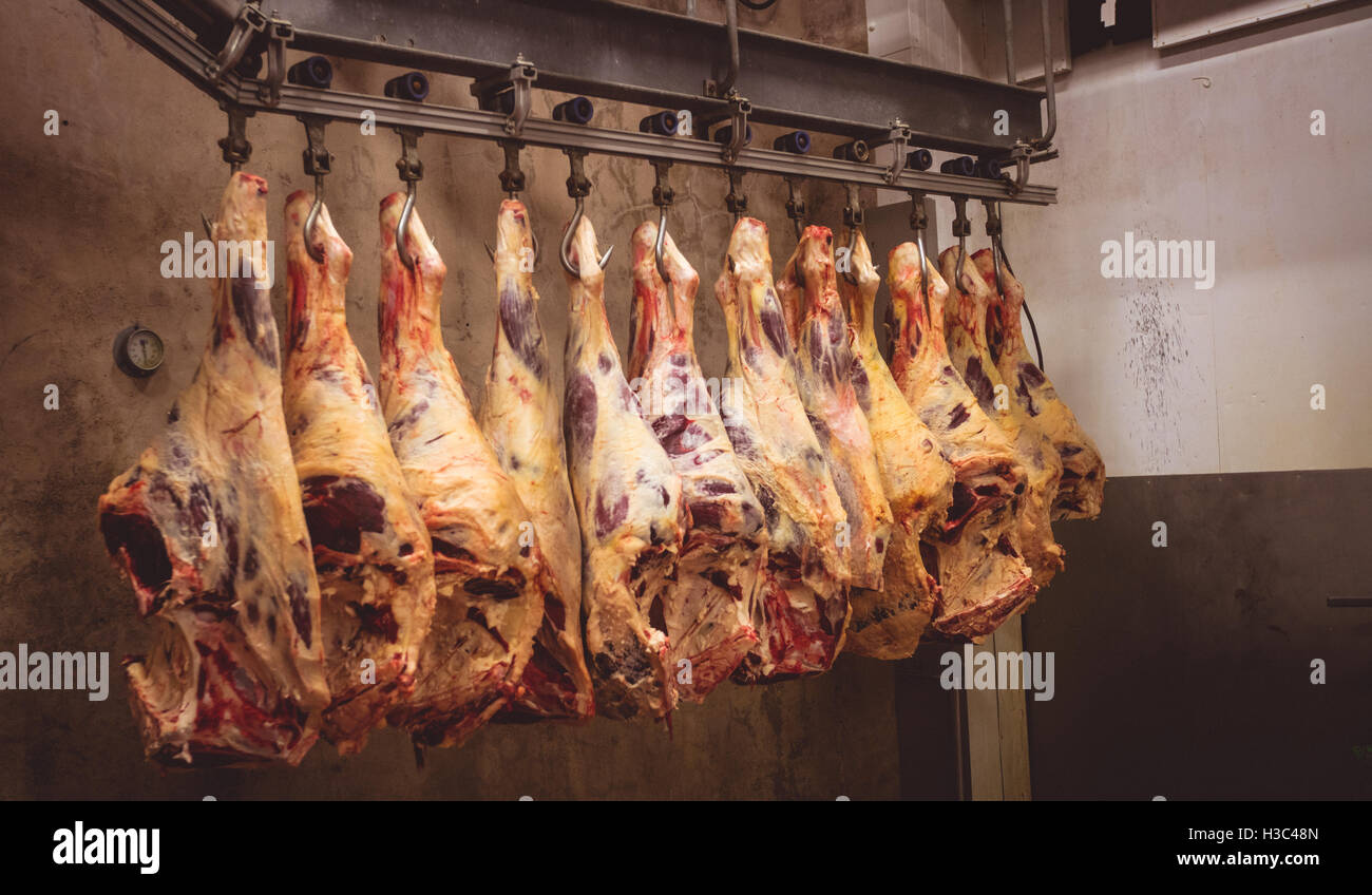 Meat hanging in butchery hi-res stock photography and images - Alamy