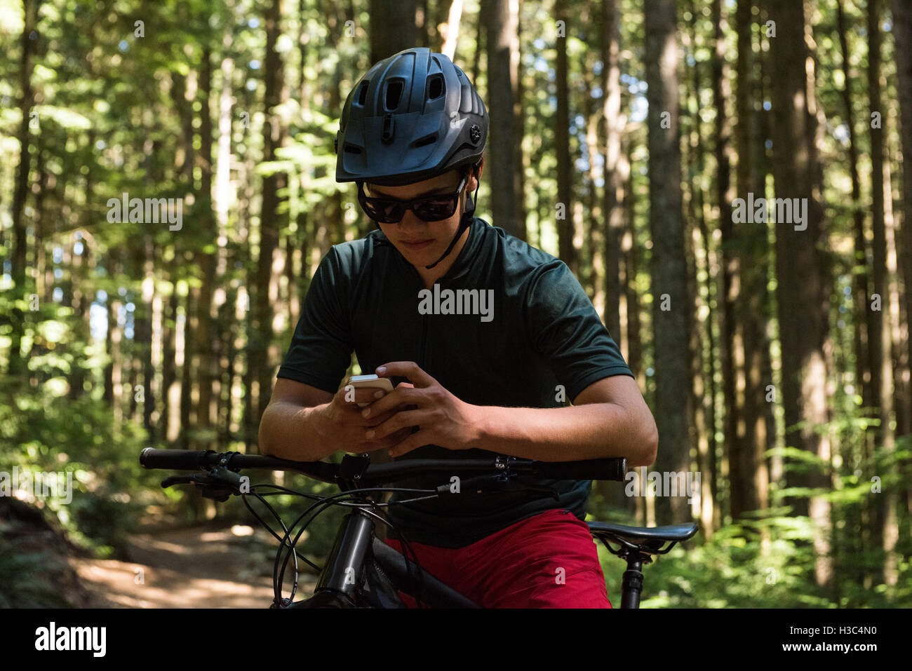 Male cyclist using mobile phone in forest Stock Photo - Alamy