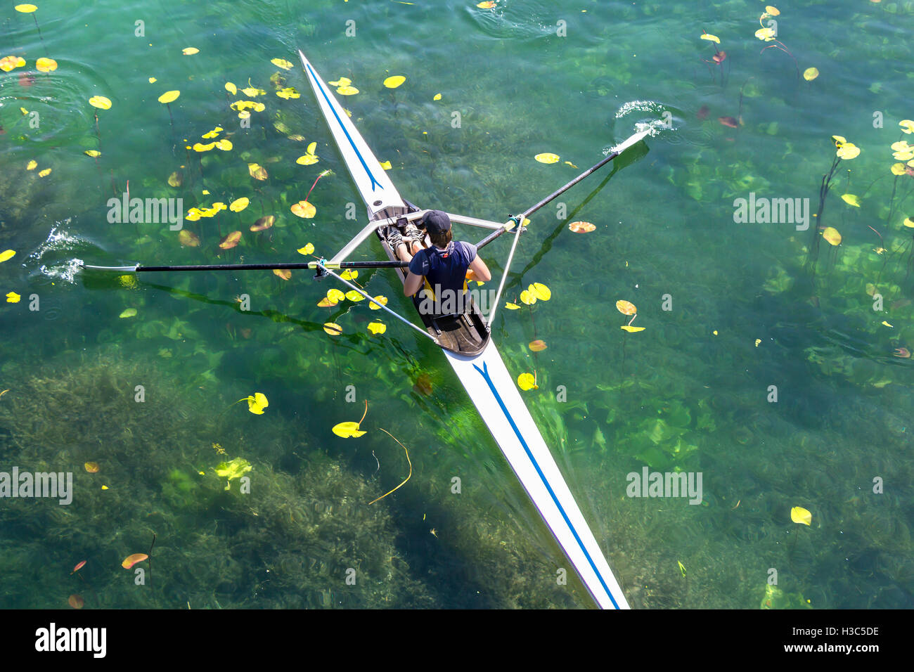 A Young single scull rowing competitor paddles on the tranquil lake ...
