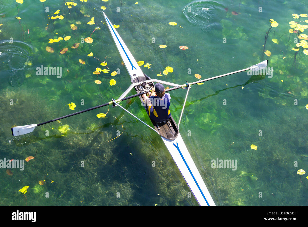 A Young single scull rowing competitor paddles on the tranquil lake ...