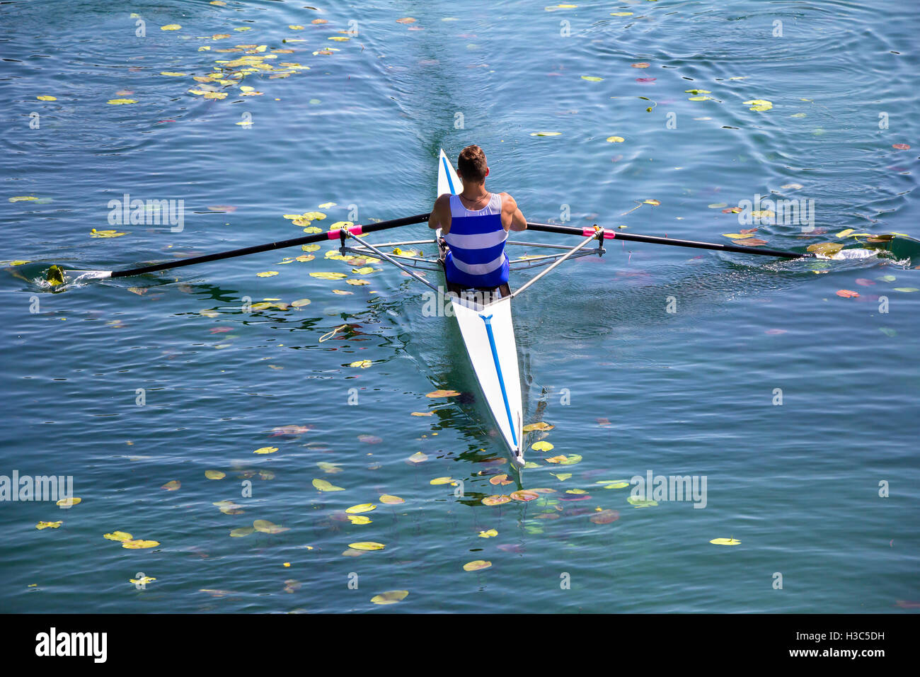 A Young single scull rowing competitor paddles on the tranquil lake ...