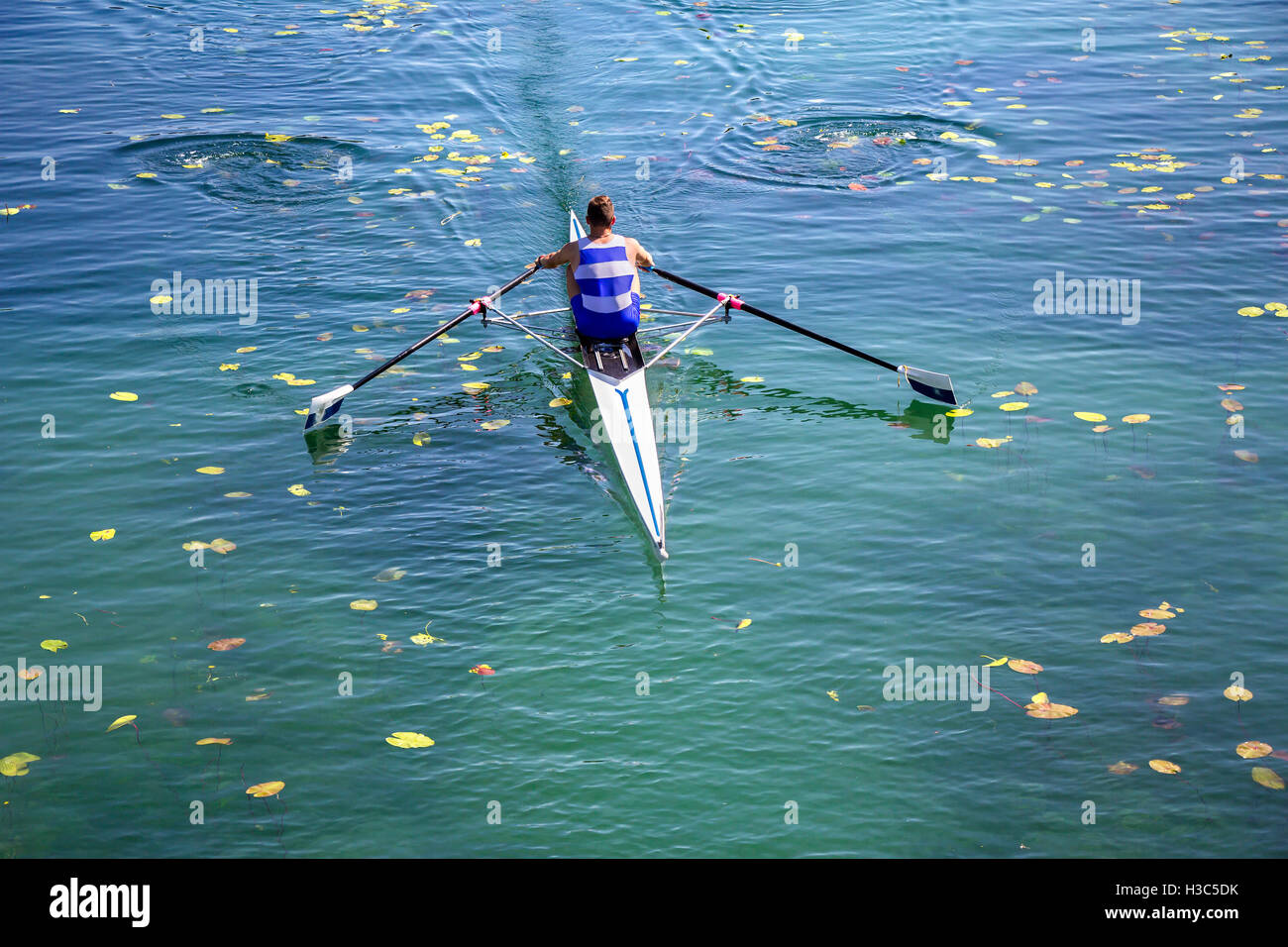 A Young single scull rowing competitor paddles on the tranquil lake ...