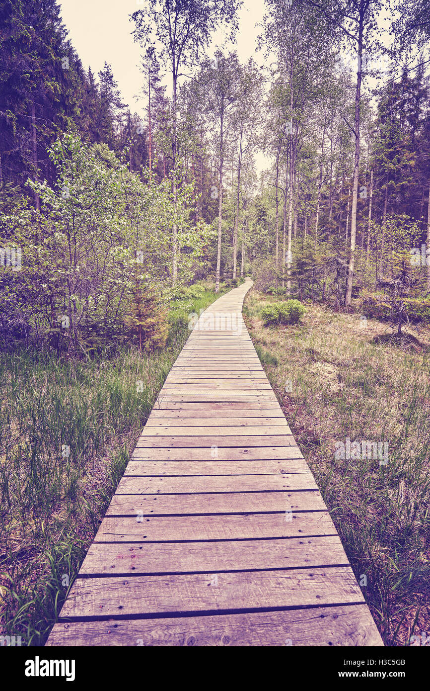 Vintage toned photo of a wooden path in Adrspach Teplice rock town ...