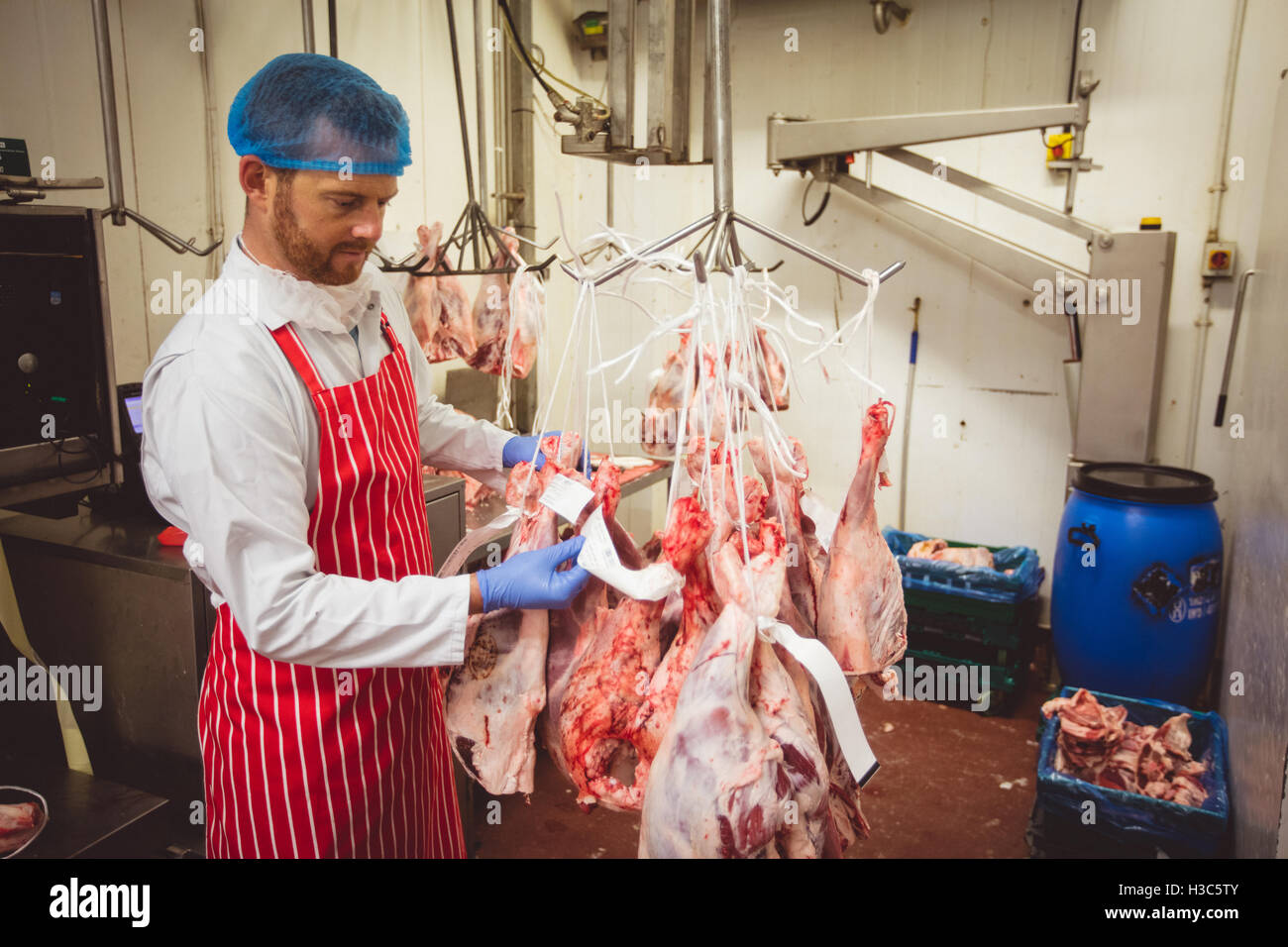Butcher sticking barcode stickers on red meat in storage room Stock ...
