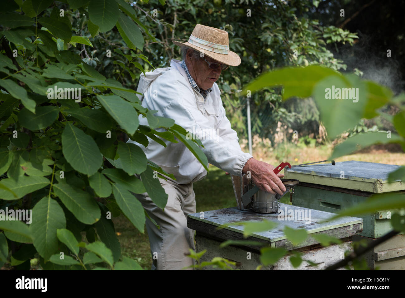Apiary garden hi-res stock photography and images - Alamy