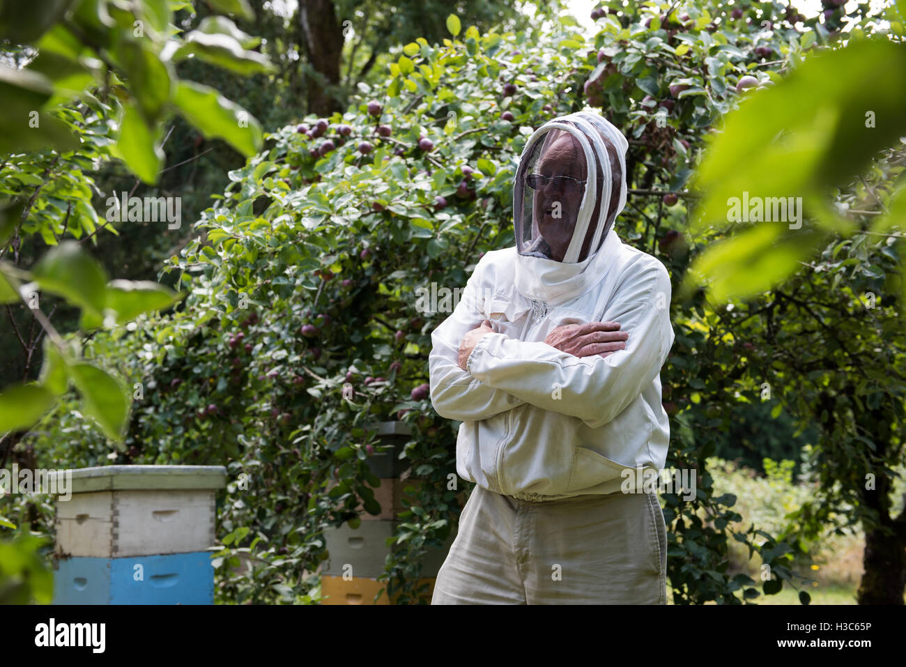 Beekeeper standing with arms crossed Stock Photo - Alamy