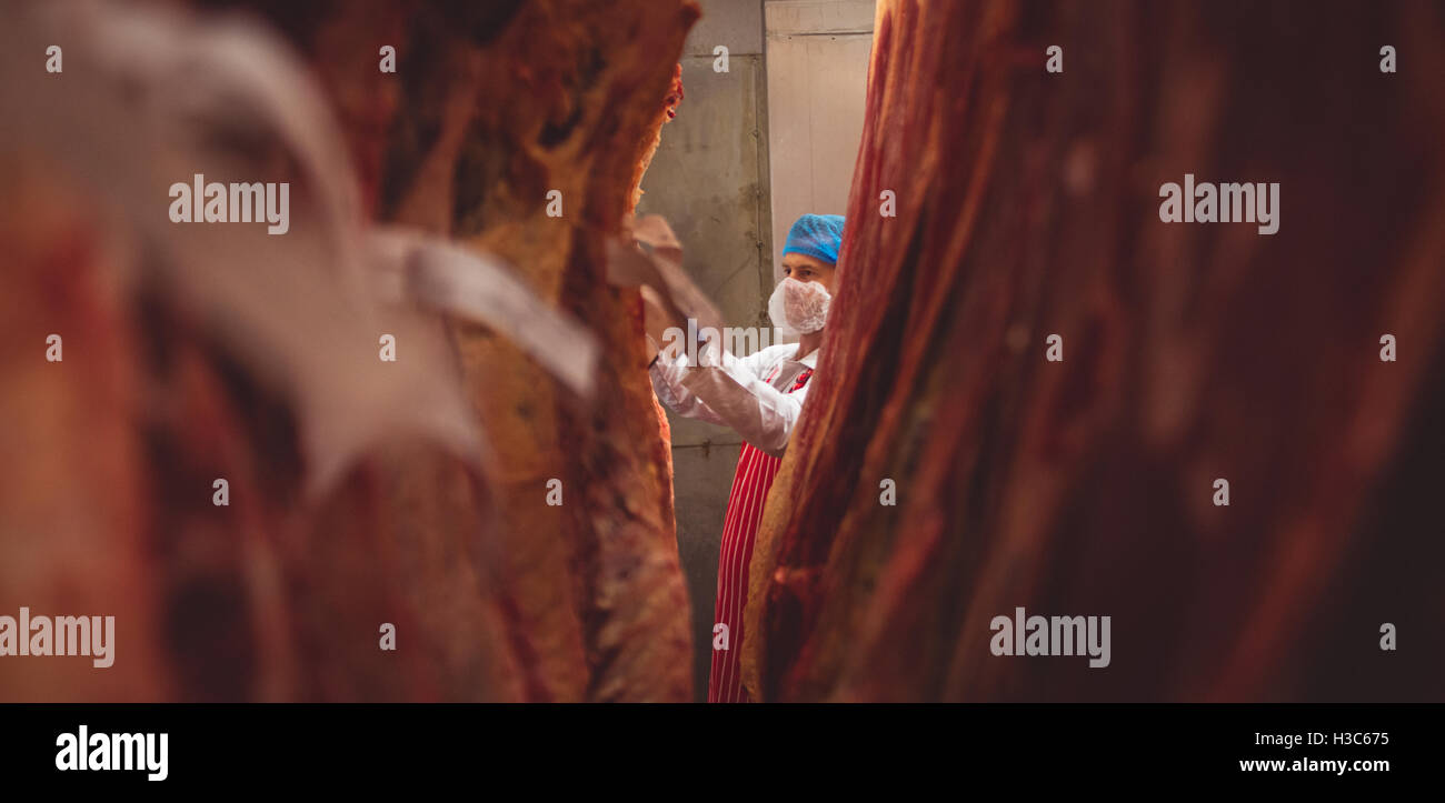 Inspecting pork hi-res stock photography and images - Alamy