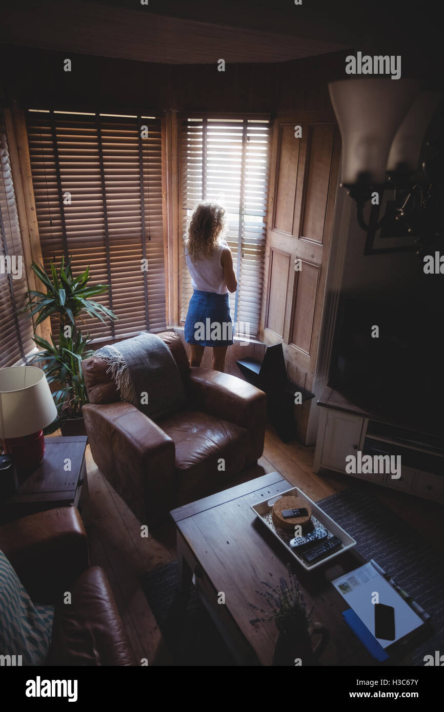 Rear view of woman looking through window in living room Stock Photo ...