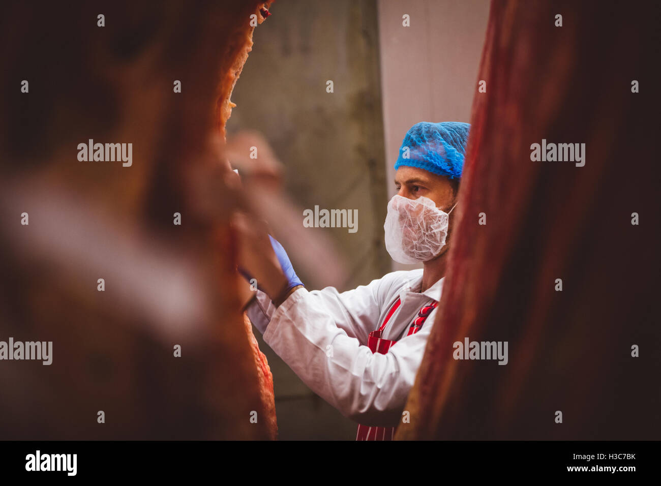 Butcher examining the red meat hanging in storage room Stock Photo - Alamy