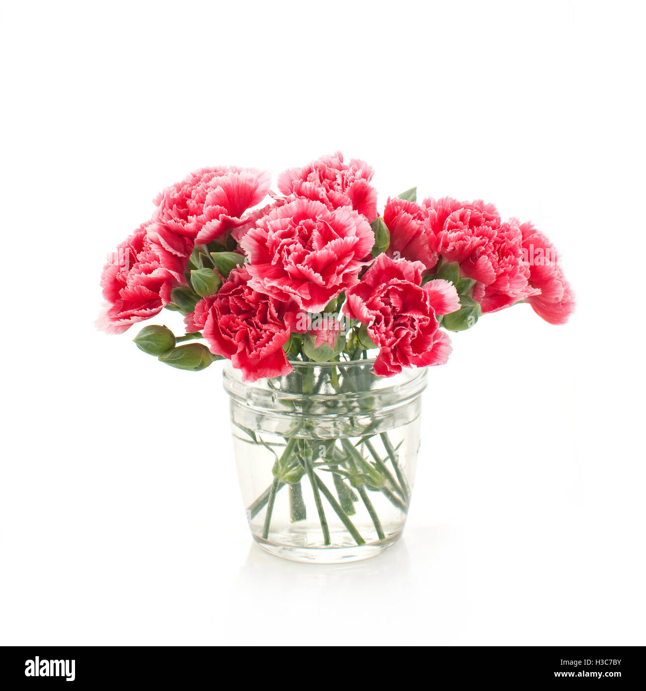 Pink sweet carnation hi-res stock photography and images - Alamy