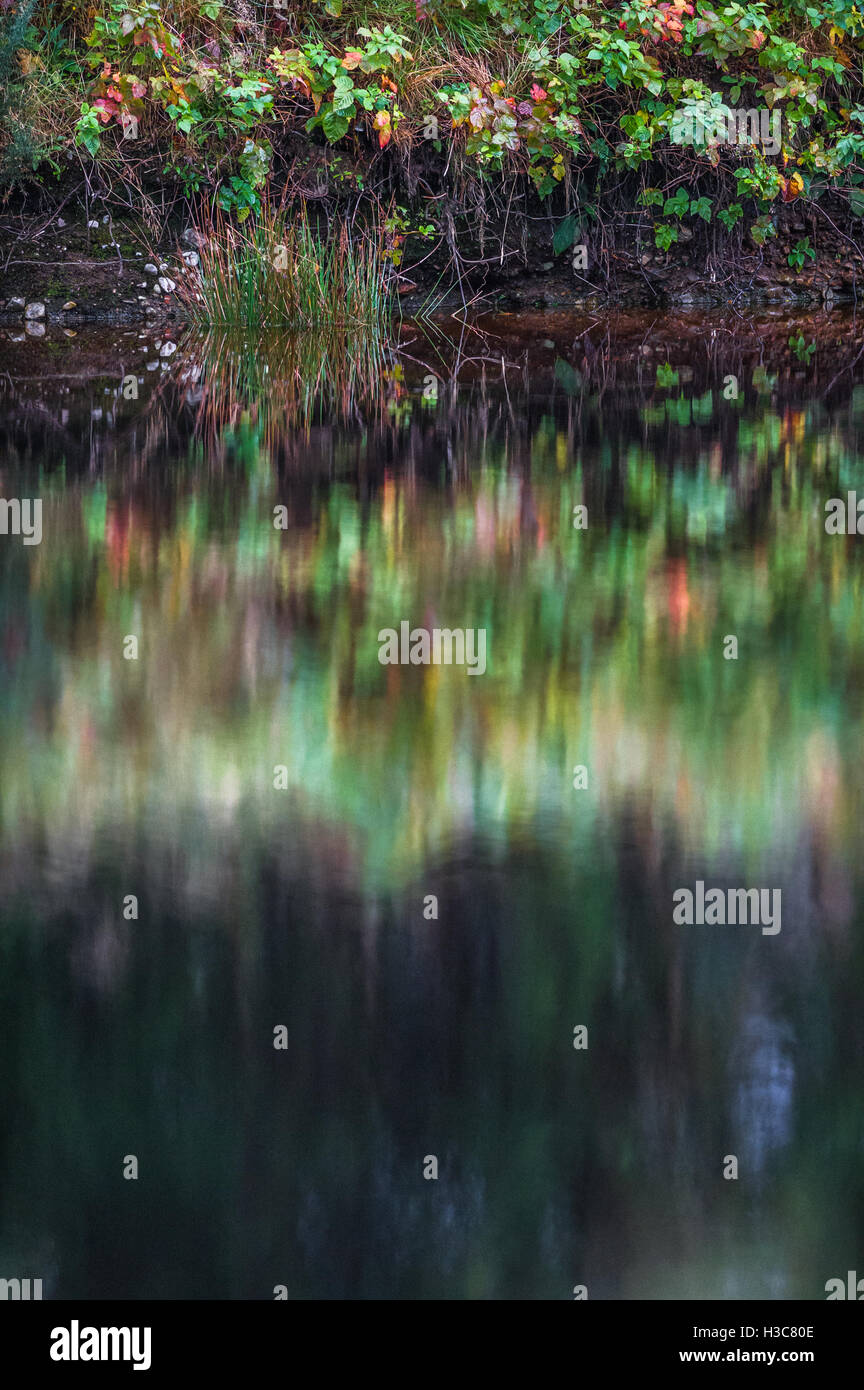 River bank hi-res stock photography and images - Alamy